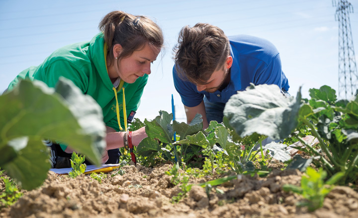 À la recherche d'une école d'agronomie ! - Agroéquipement et énergie